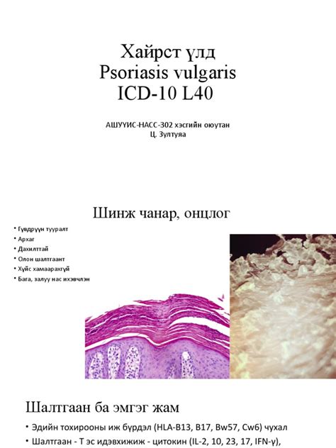 Хайрст үлд Pdf