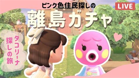 【あつ森】住民厳選残るはタコリーナのみ島中をピンク色住民にする夢の離島ツアー💗【離島ガチャ】【個人vtuber 生配信】 あつ森