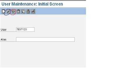 Simple About Sap Basis Sap How To Delete User In Sap