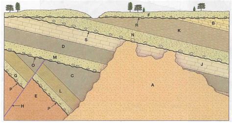 Solved Describe The Geologic History Of Geologic Cross Chegg Com