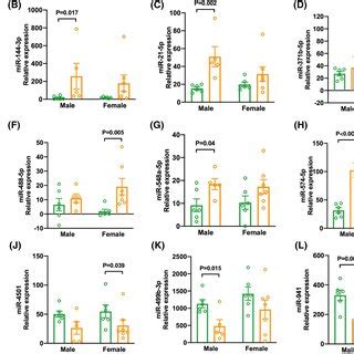 Sex Differences In The Expression Of Selected MiRNAs In Plasma Samples Download Scientific