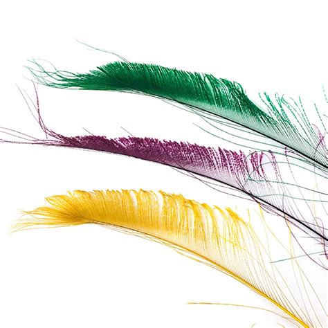 Peacock Swords Bleach Mardigras Mix Dyed Feather Buy 20 25 Inches