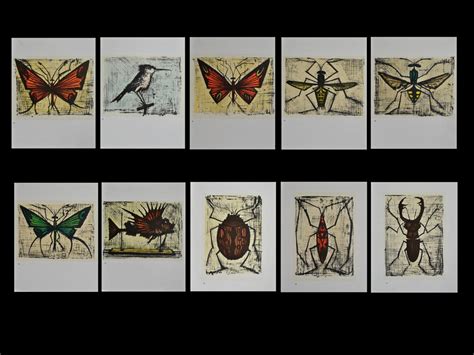 Bernard Buffet The Insects 10 Lithographs 1967 By Mourlot Etsy