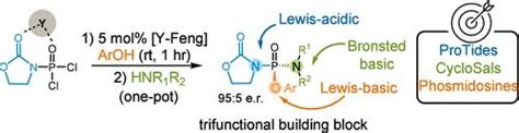 通过对映选择性钇催化获得 P（v） 立体磷酸酰胺的途径journal Of The American Chemical Society