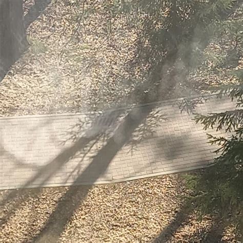 Human Detection Model V2 Object Detection Model By Humandetectionmodel