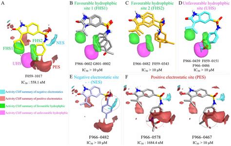 Structure Activity Relationship Sar Analysis Of F059 1017 And Its