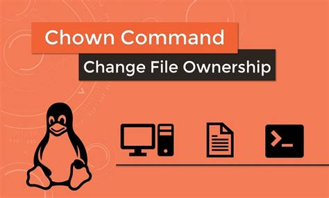 دستور Chown در لینوکس برای تغییر مالکیت پرونده آموزش تغییر مالکیت فایل و گروه در لینوکس
