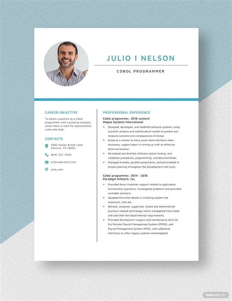 Cobol Programmer Resume In Pages Word Download Template Net Cobol Programmer Resume In Pages Word Download Template Net