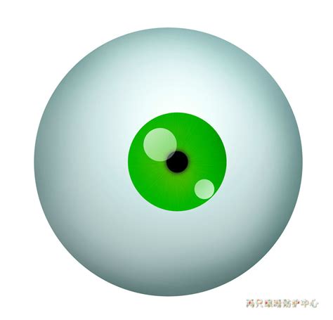 两只眼睛50个非常有趣的冷知识 搜狐大视野 搜狐新闻
