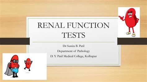 Renal Function Test Pptx