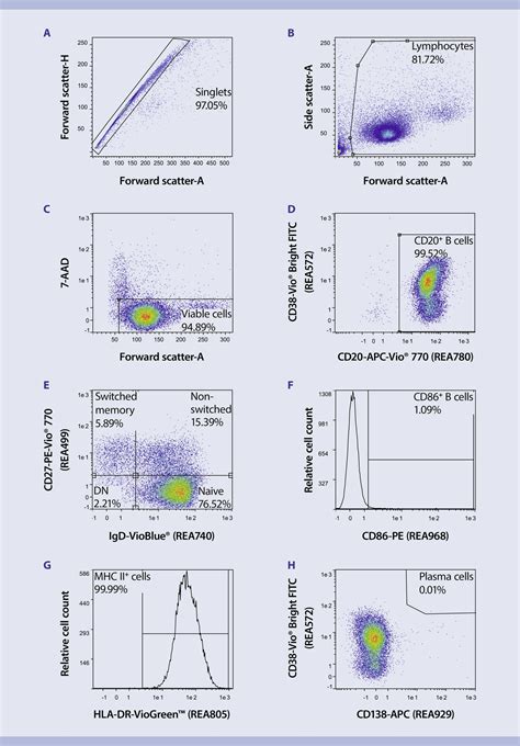 Immunophenotyping Human B Cells Protocol Miltenyi Biotec Australia