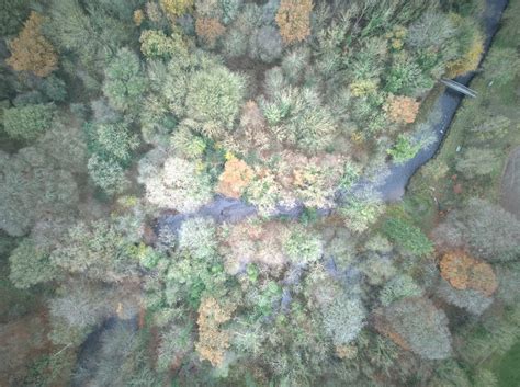 Birr 20 20 Vision — Camcor River Action