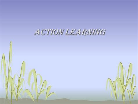 Action Learning Approach Pptx