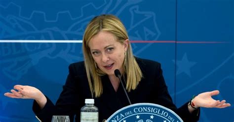 찐 극우인 줄 알았는데 행보는 온건하네멜로니 넌 누구니