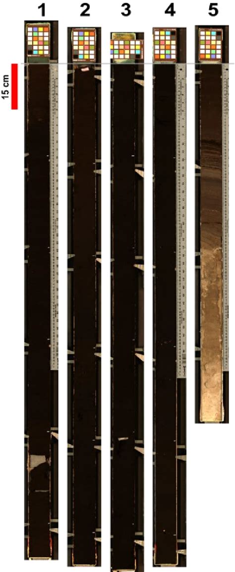 Figure A56 Half Of The Pex 19 Sediment Cores In A Color Scan Image Download Scientific