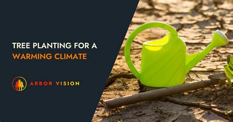 Tree Planting For A Warming Climate A Property Manager S Guide