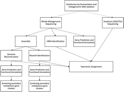 Overall Analysis Strategy Download Scientific Diagram
