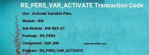 RS PERS VAR ACTIVATE SAP Tcode For Activate Variable Pers