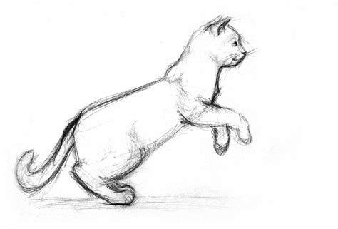 Cat Jumping Drawing At PaintingValley Com Explore Collection Of Cat Jumping Drawing