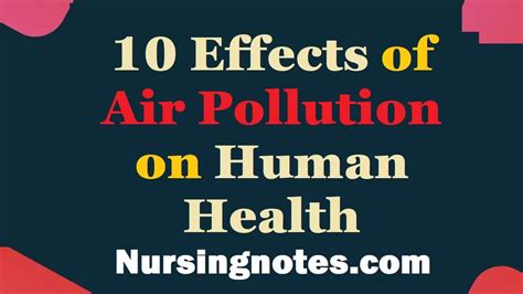 10 Effects Of Air Pollution On Human Health Nursingnotes