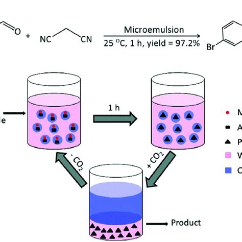 Knoevenagel Reaction A And The Product Separation B Between