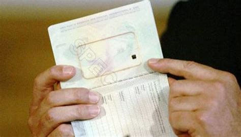 Po Co Chip W Paszporcie Fundacja Dla Kociąt Osieroconych Cali Mali