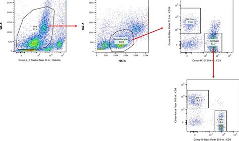 Flow Cytometry Gating Strategy Download Scientific Diagram
