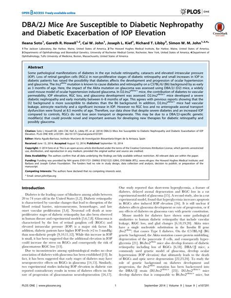 Pdf Dba 2j Mice Are Susceptible To Diabetic Nephropathy And Diabetic Exacerbation Of Iop Elevation