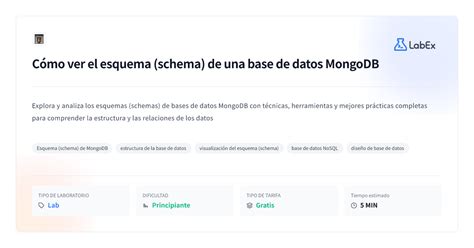 Cómo Ver El Esquema Schema De Una Base De Datos Mongodb Labex