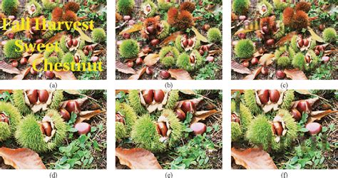 Figure 2 From Adaptive Reconstruction Method Of Missing Textures Based On Kernel Canonical