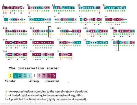 Evolutionary Conservation Analysis Of Mt Atp6 In Addition To The