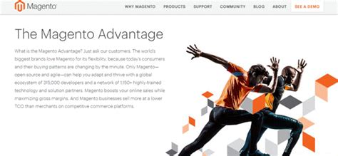 The Best Content Management Systems For Tour And Activity Operators