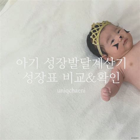 아기 성장발달 계산기 표 보는 법 네이버 질병관리청 네이버 블로그