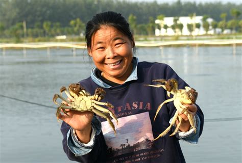 洪泽湖大闸蟹多了一个国际身份江苏首例获得BAP国际认证 我苏网