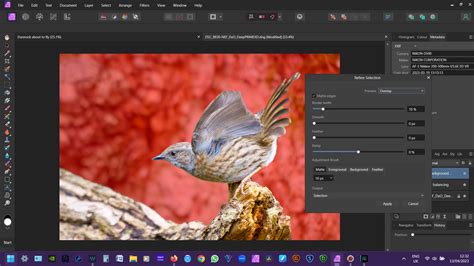 Ai Selection Tool Feedback For The Affinity V2 Suite Of Products