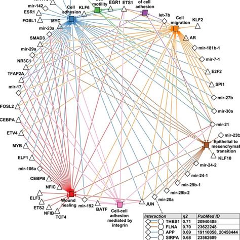 An Example Of Bayesian Network Structure Learning A The Initial Download Scientific Diagram