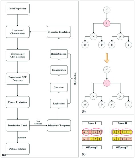 A Gep Algorithm B Mutation Process C Crossover Process