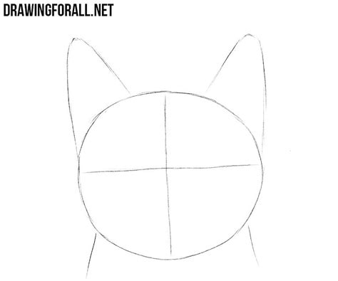 How To Draw A Cat Head