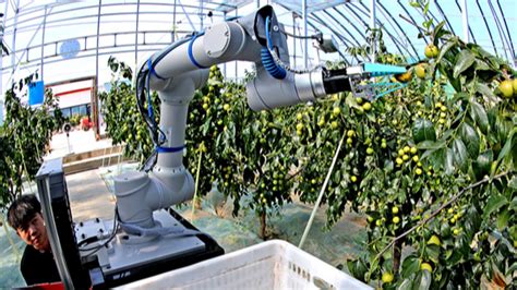 Хиймэл оюун ухааныг хөдөө аж ахуйн салбарт өргөнөөр нэвтрүүлж байна