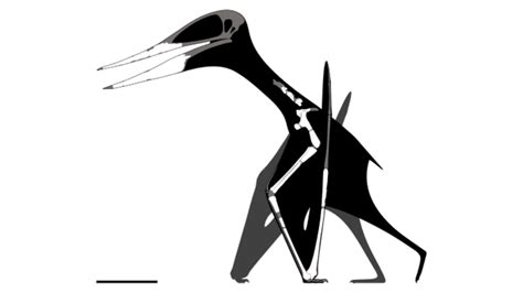 The Legendary K T Extinction Event And Its Effect On Dinosaurs