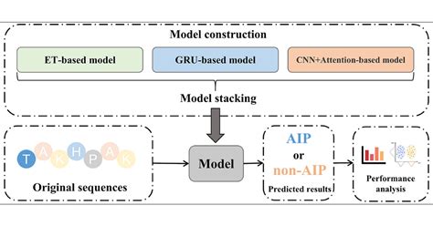 Predicting Anti Inflammatory Peptides By Ensemble Machine Learning And Deep Learning Journal