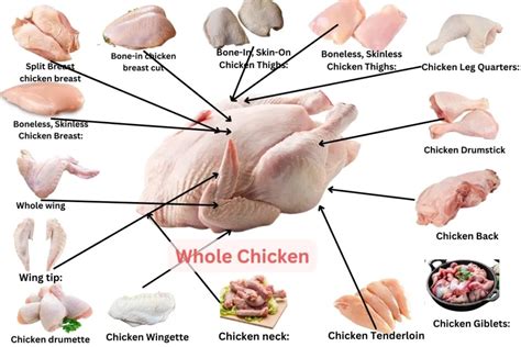 A Guide To Different Cuts Of Chicken Food And Beverage Knowledge