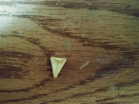 Tiny Origami Crane Instructables