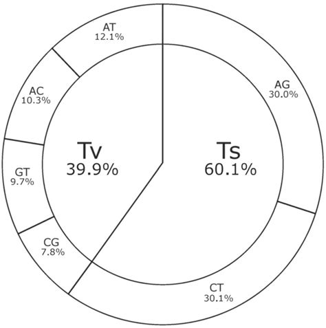 Classification Of Snps Based On Their Nucleotide Substitutions Either Download Scientific