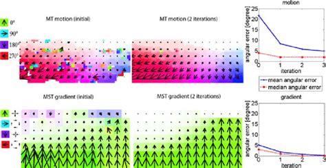 Results Of Recurrent V1 Mt Mstd Processing For Ground Plane Motion With Download Scientific