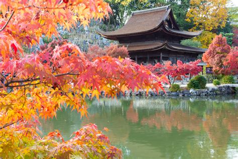 虎渓山永保寺紅葉岐阜県多治見市の観光撮影スポットの名所 東海カメラマップ