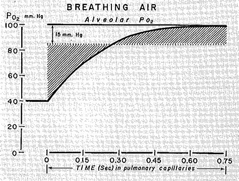 Figure 11 From Co Diffusing Capacity In The Human Lung Dependent On Alveolar Volume Semantic