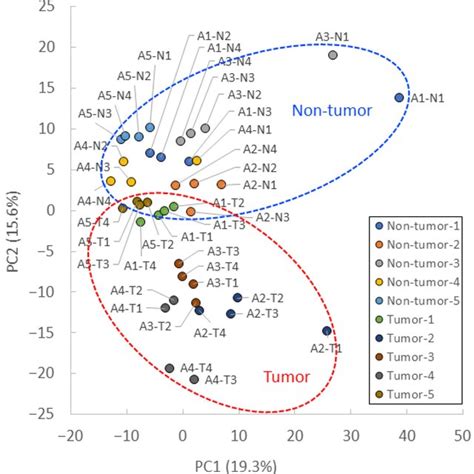 Pca Plot Of Ce Ftms Metabolite Profiles Pca Score Plot For Tumors And Download Scientific