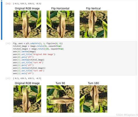 图像处理小技巧：用python轻松实现裁剪、翻转、旋转及亮度对比度调整图像分类中pil数据翻转、亮度调整操作 Csdn博客