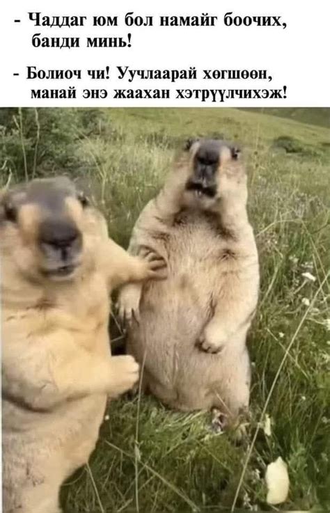 Инээдмийн Их Дэлгүүр Added A New Photo Инээдмийн Их Дэлгүүр